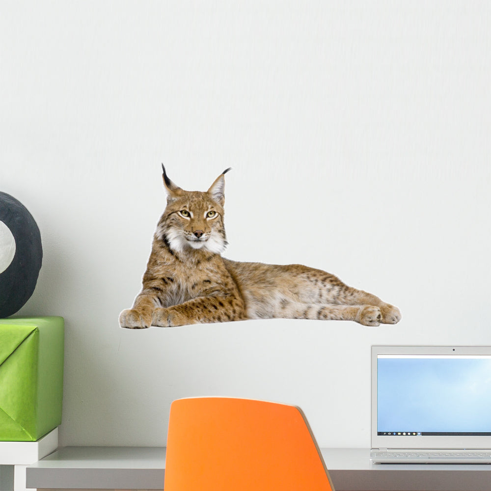 Eurasian Lynx Wall Decal – Wallmonkeys