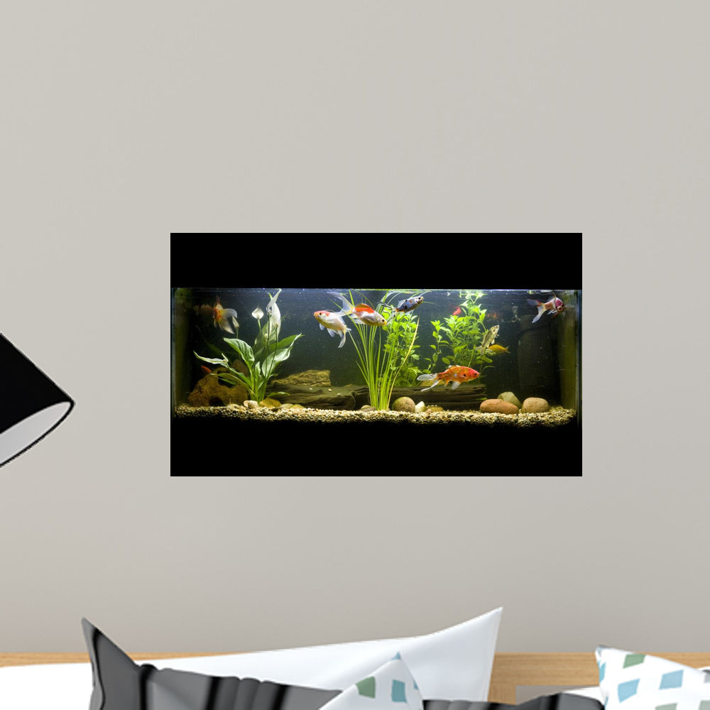 Goldfish Fish Tank Wall Decal - WallMonkeys.com – Wallmonkeys