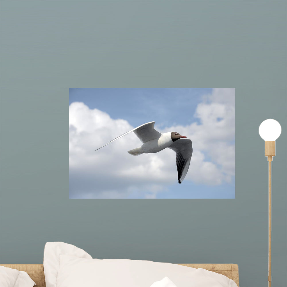Seagull Flight One Wall Mural – Wallmonkeys