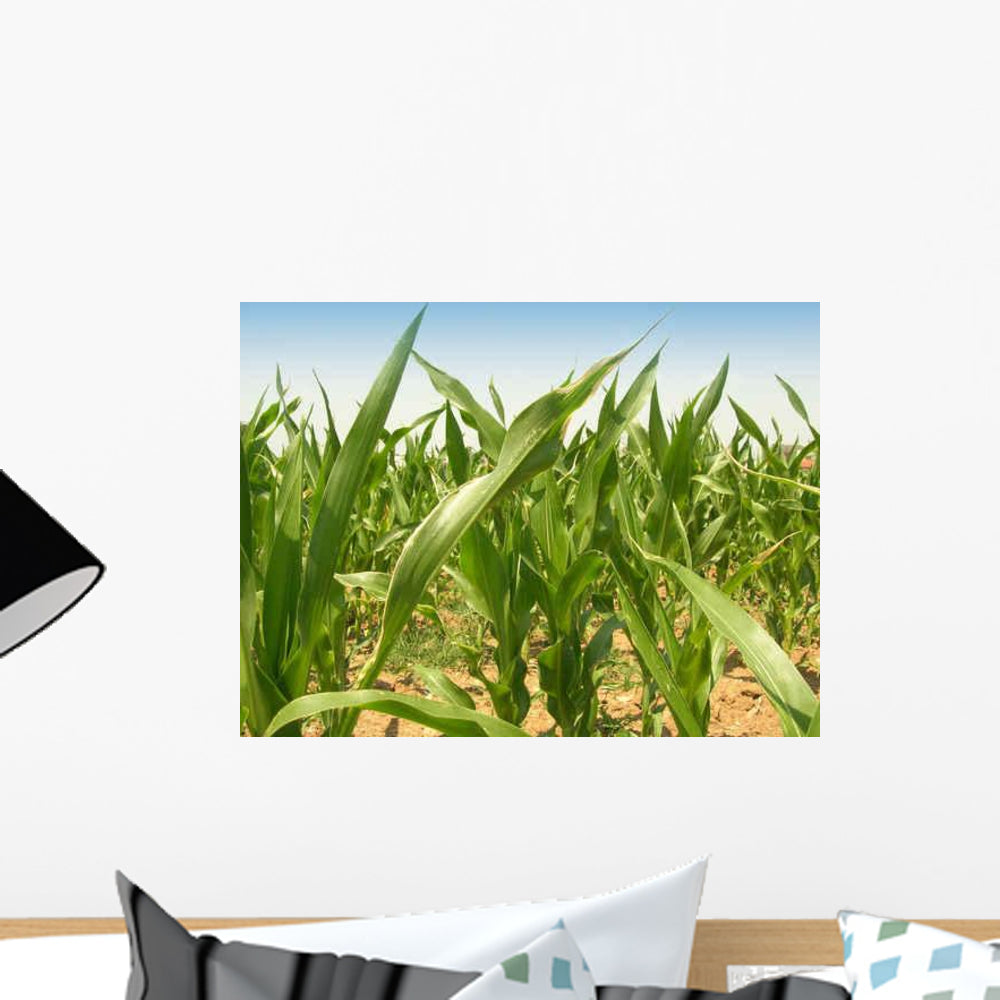 Wheat Field Wall Decal - WallMonkeys.com – Wallmonkeys