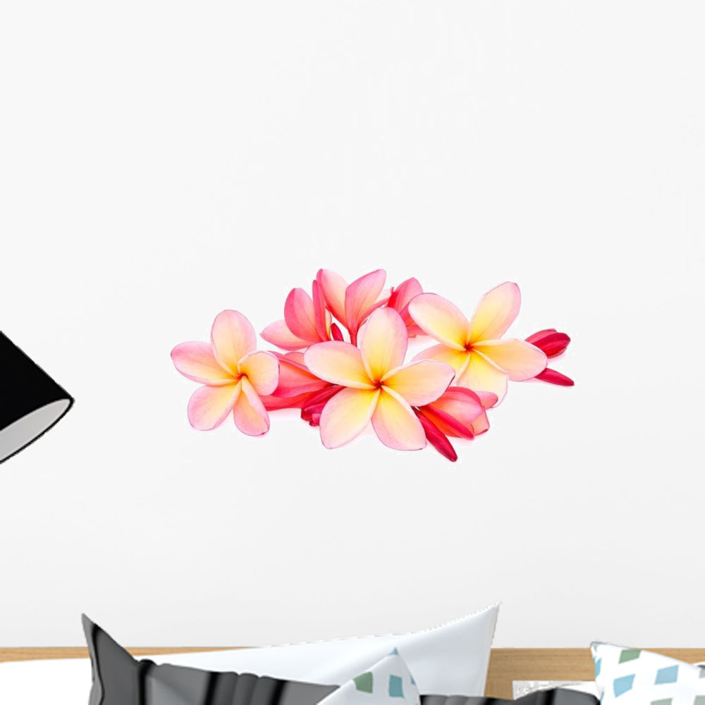 Frangipani Plumeria Tropical Flowers Wall Decal - WallMonkeys.com ...