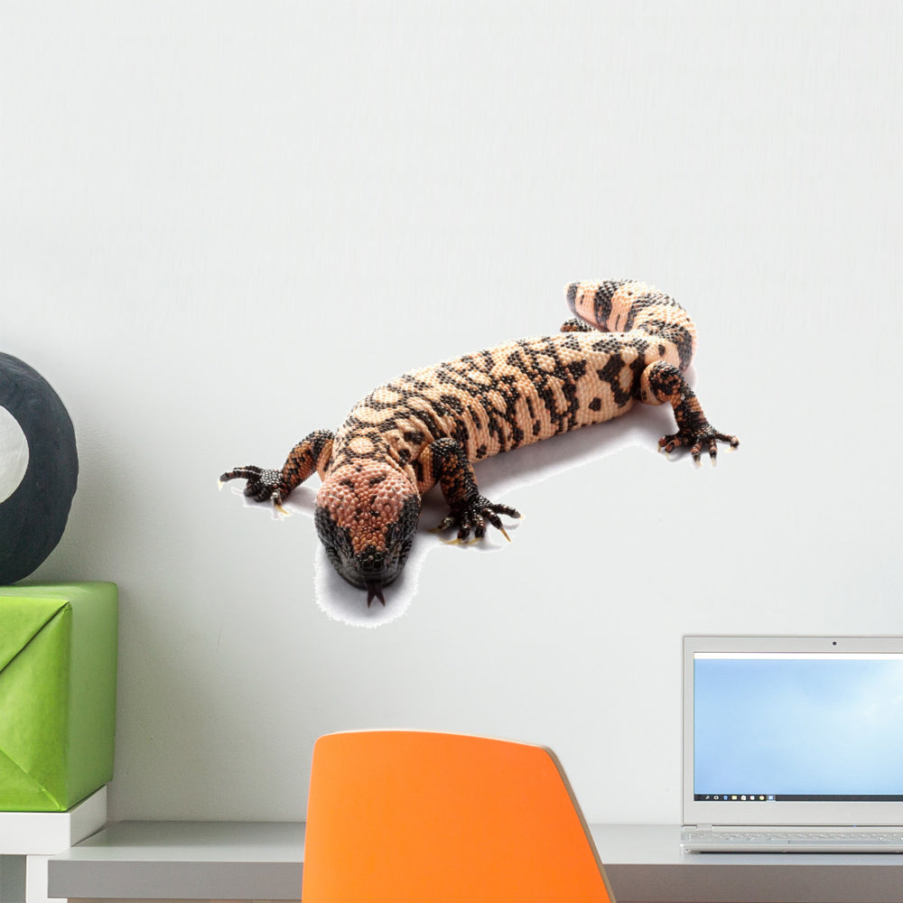 Gila Monster Wall Decal – Wallmonkeys