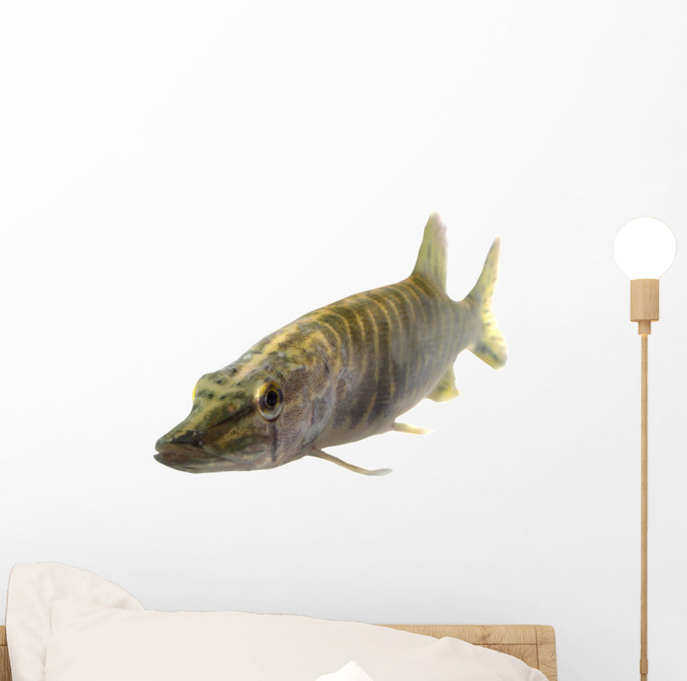 Pike Wall Decal – Wallmonkeys