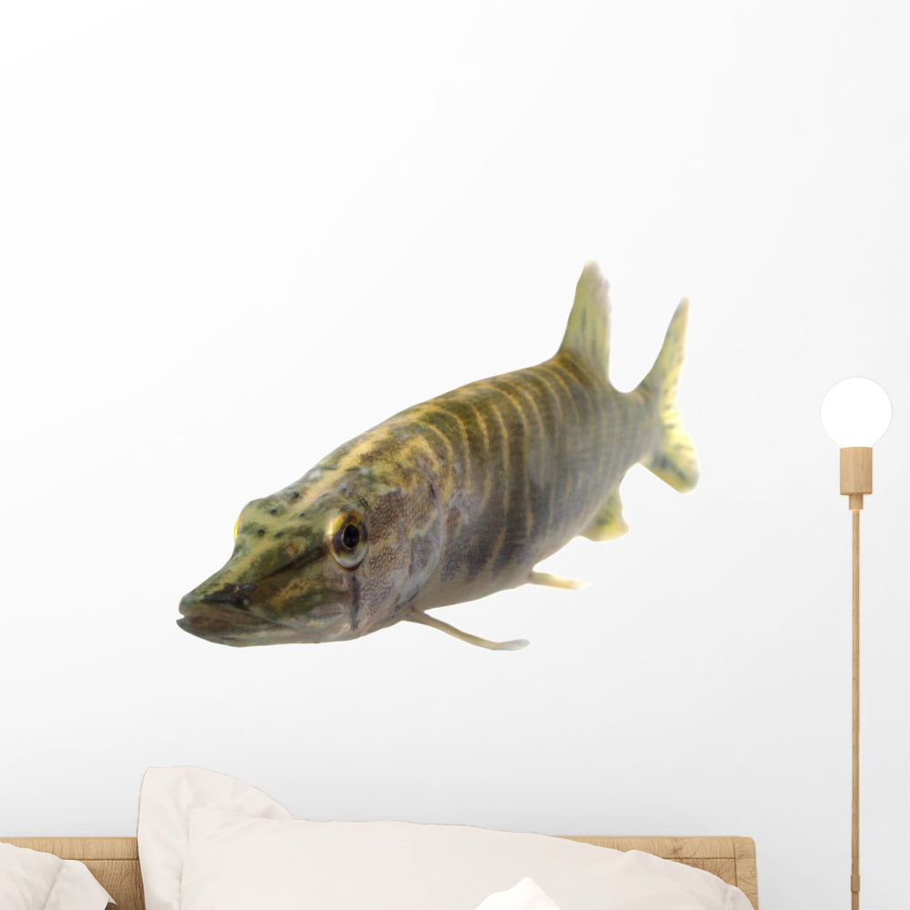 Pike Wall Decal – Wallmonkeys