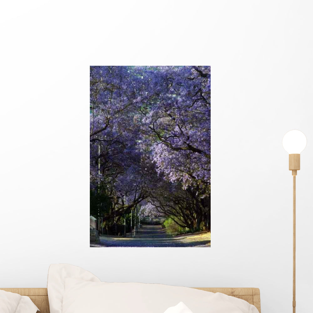 Jacaranda Lane Wall Decal - WallMonkeys.com – Wallmonkeys