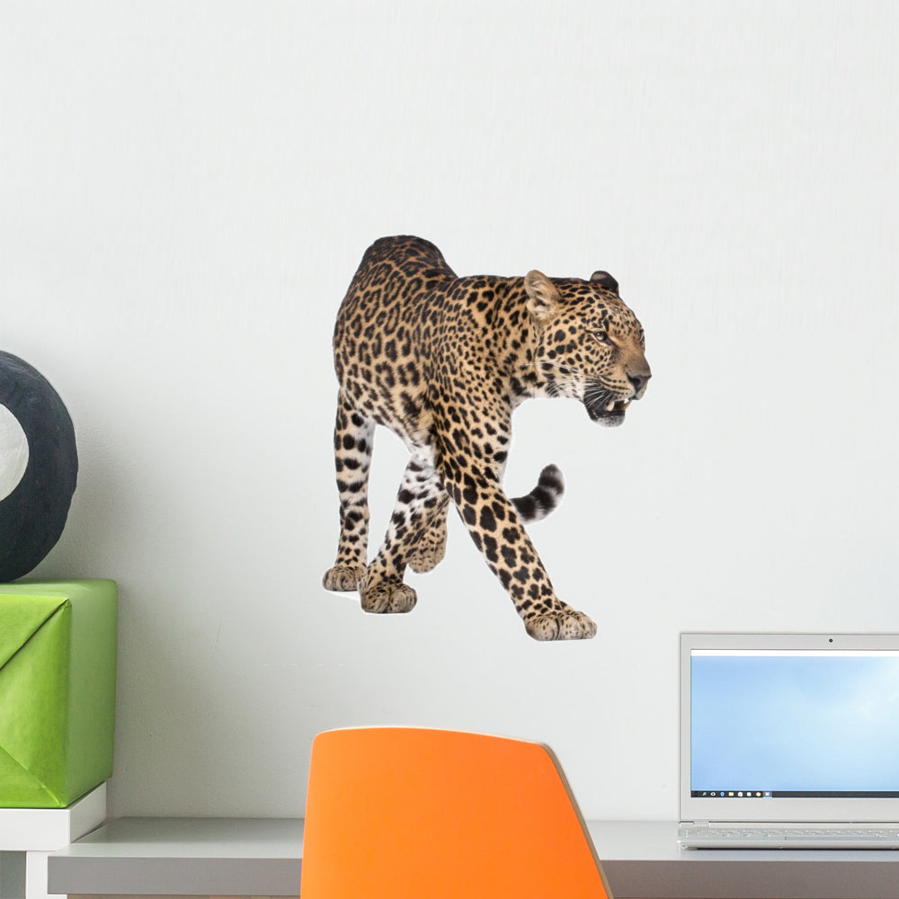 Portrait Leopard Wall Decal – Wallmonkeys