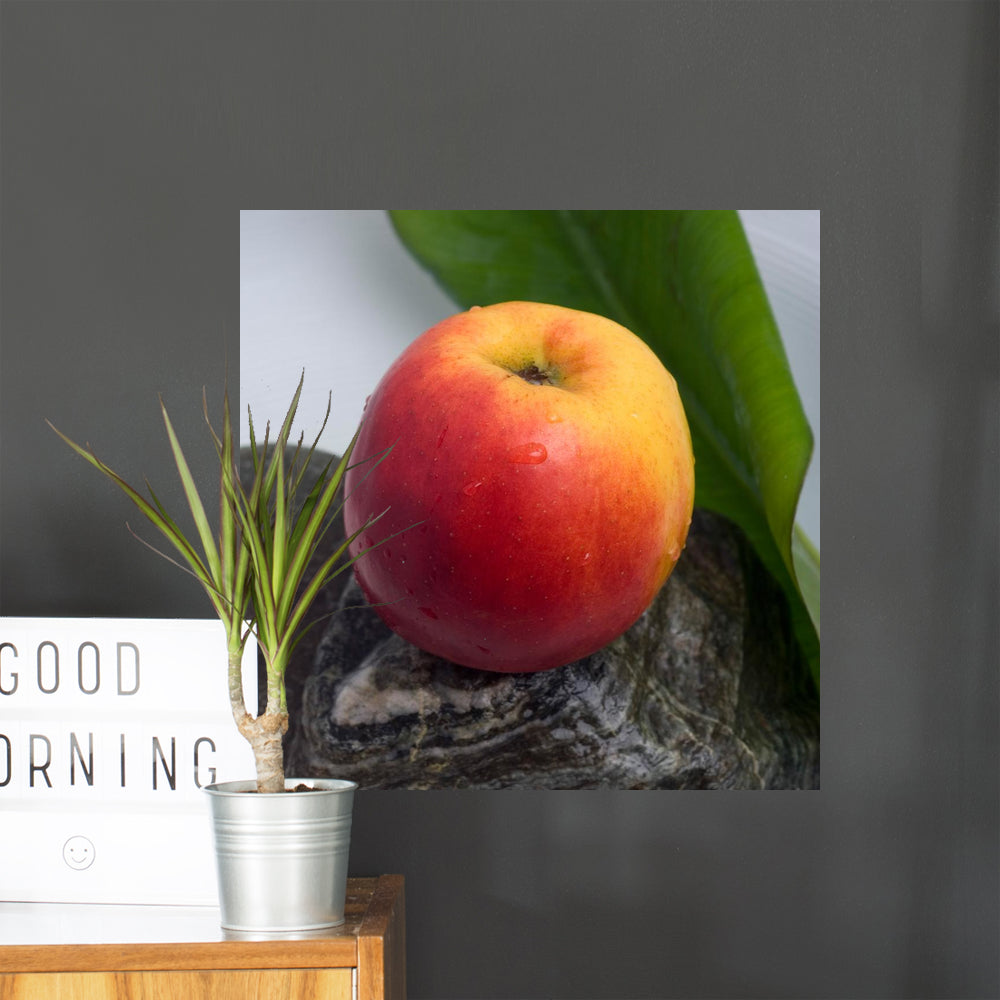Apple Wall Mural – Wallmonkeys