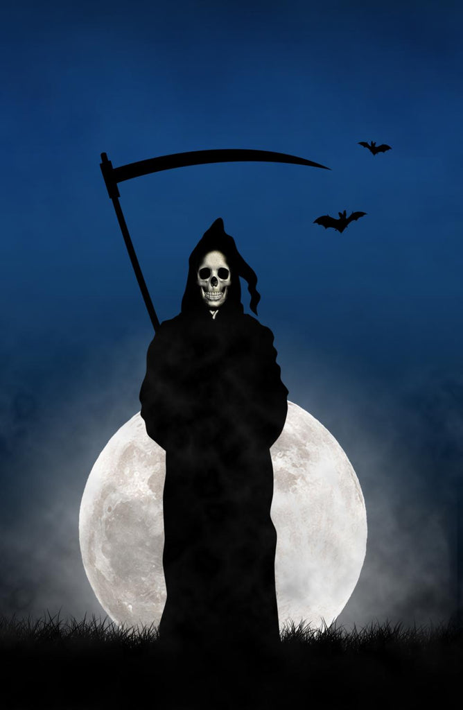 Grim Reaper Wall Mural – Wallmonkeys