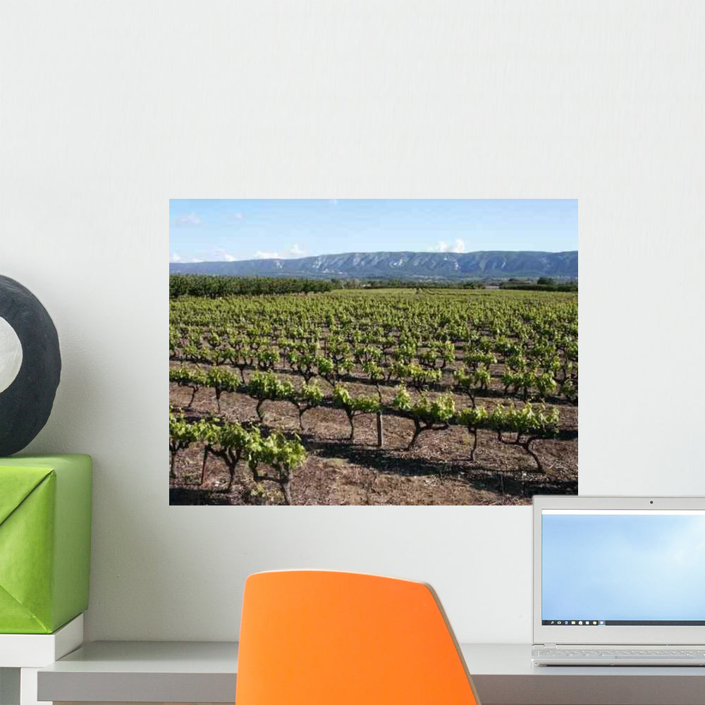 Vignoble Wall Decal - WallMonkeys.com – Wallmonkeys