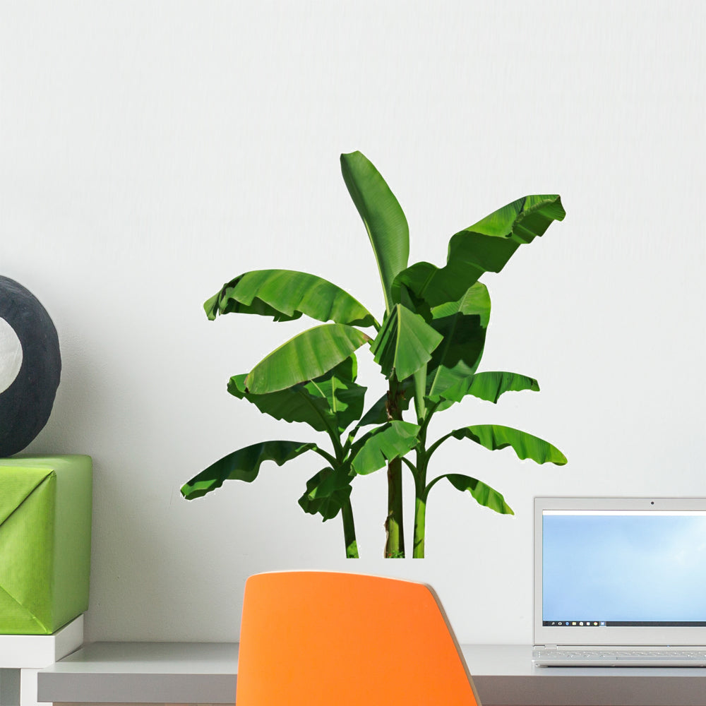 Banana Tree Wall Decal – Wallmonkeys