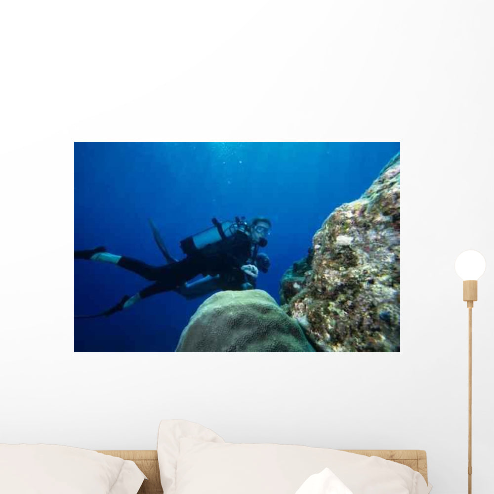 Scuba Diving Wall Decal - WallMonkeys.com – Wallmonkeys