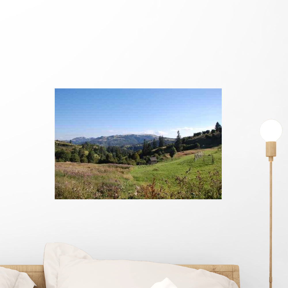 Carpate Wall Decal Design 2 - WallMonkeys.com – Wallmonkeys