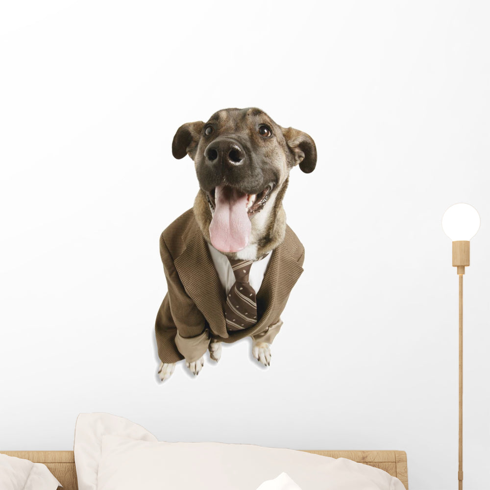 Dog with Suit Wall Mural – Wallmonkeys