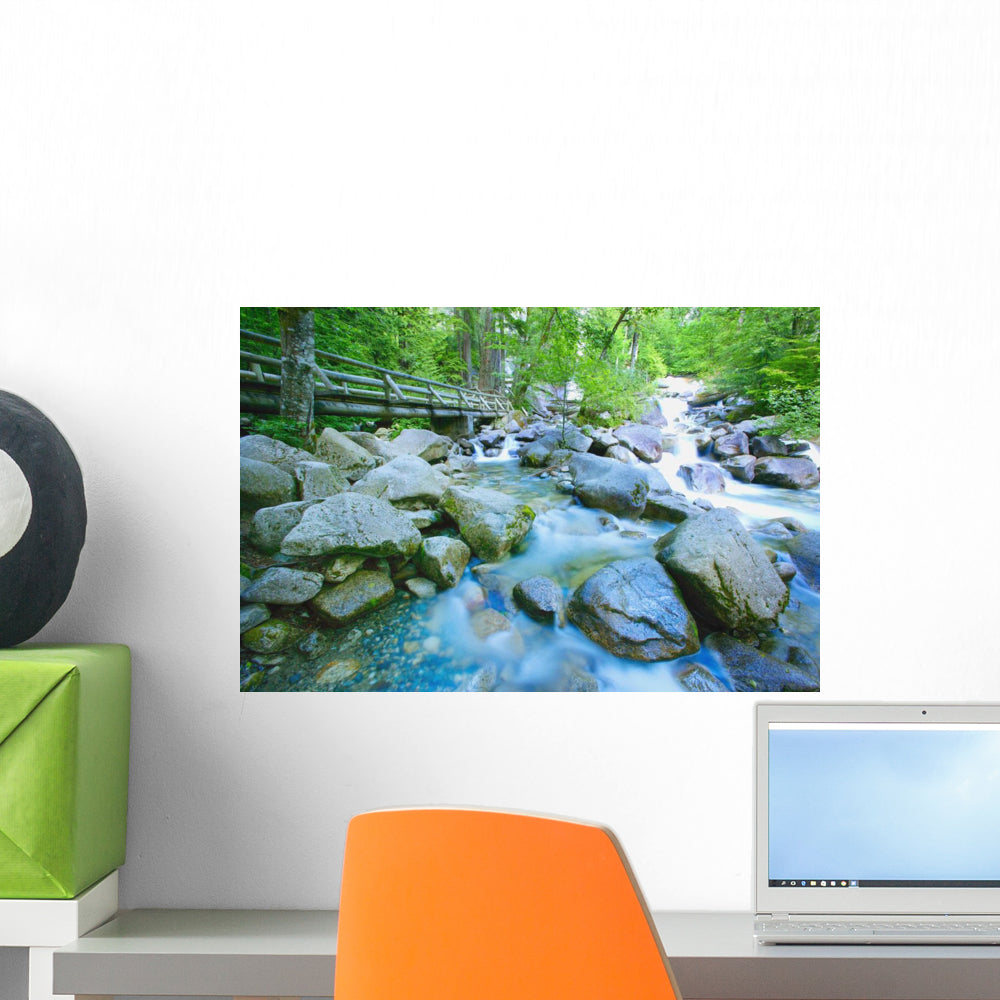Fast Flowing River Wall Mural – Wallmonkeys
