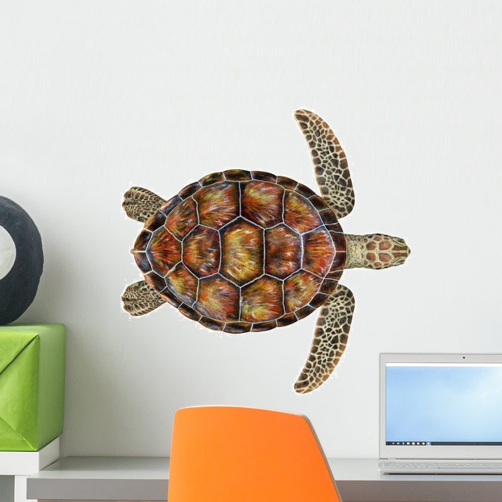 Sea Turtle Shell Wall Decal - WallMonkeys.com – Wallmonkeys