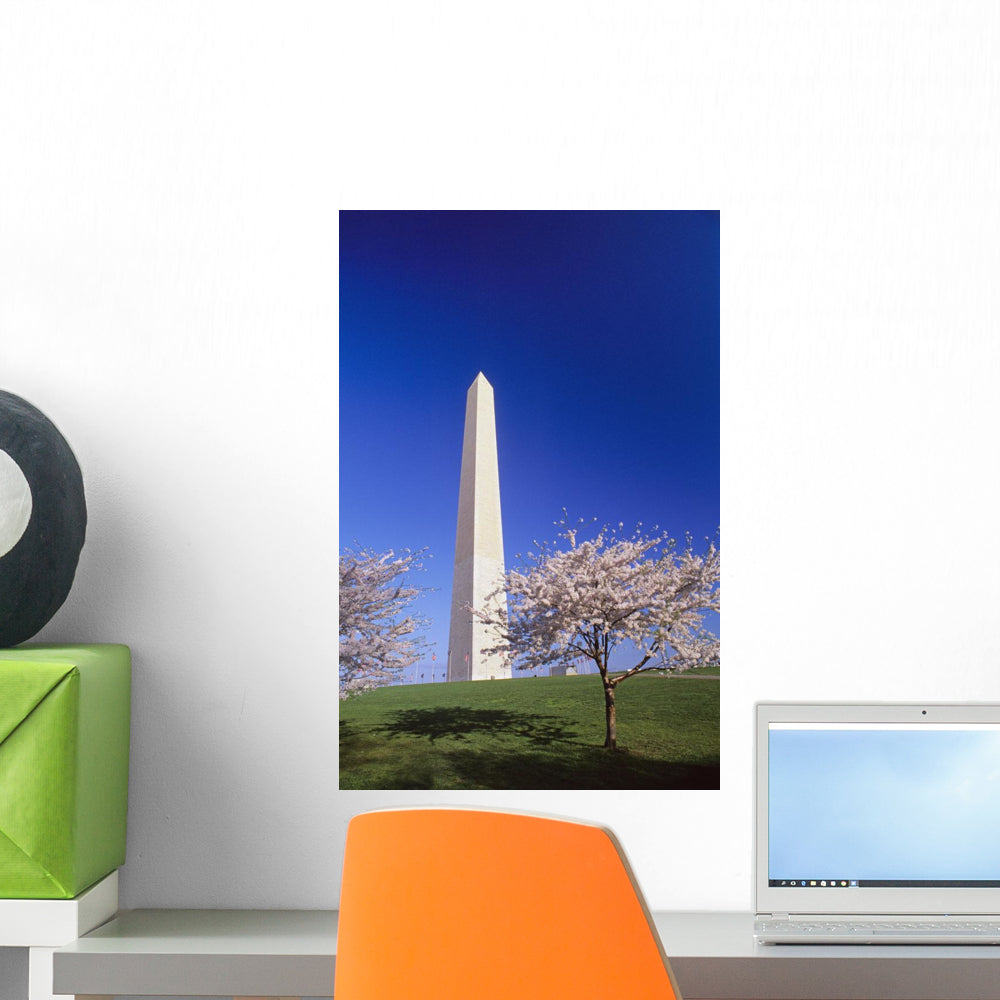 Washington Monument Wall Mural – Wallmonkeys