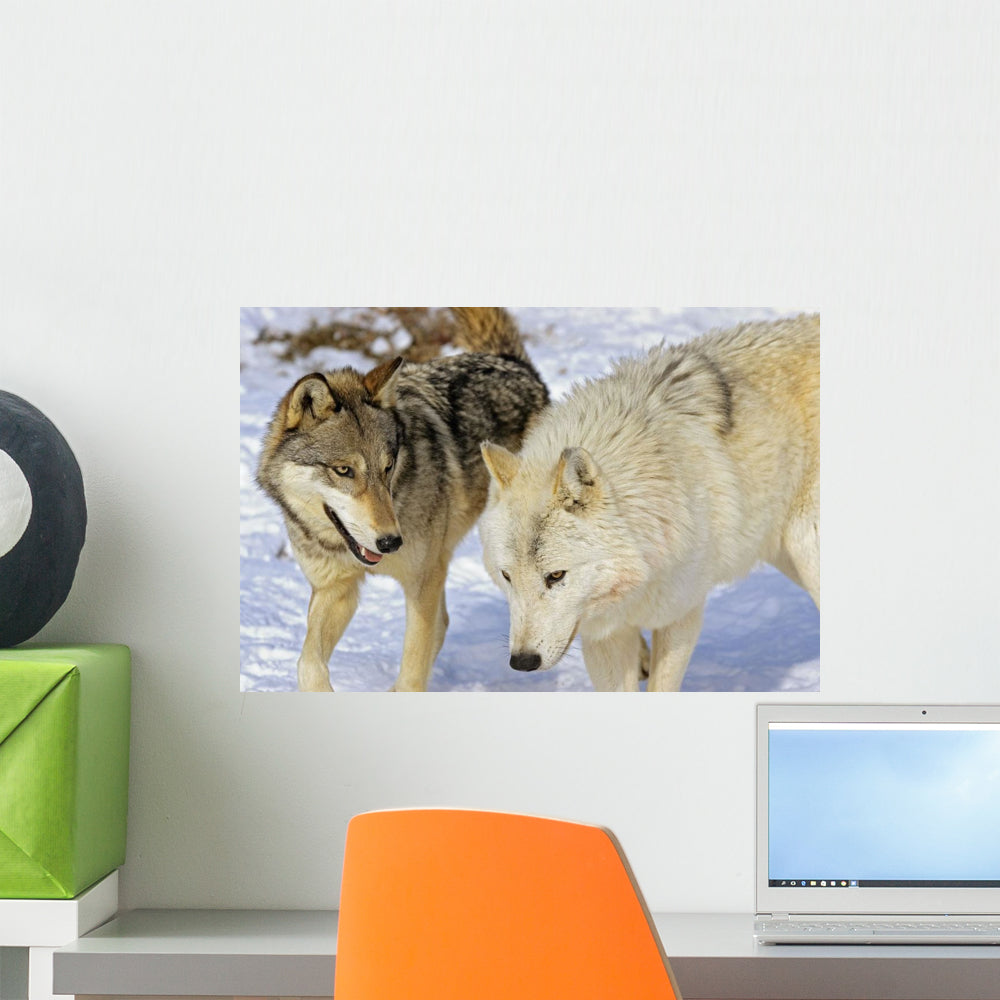 Members Wolf Pack Wall Mural – Wallmonkeys