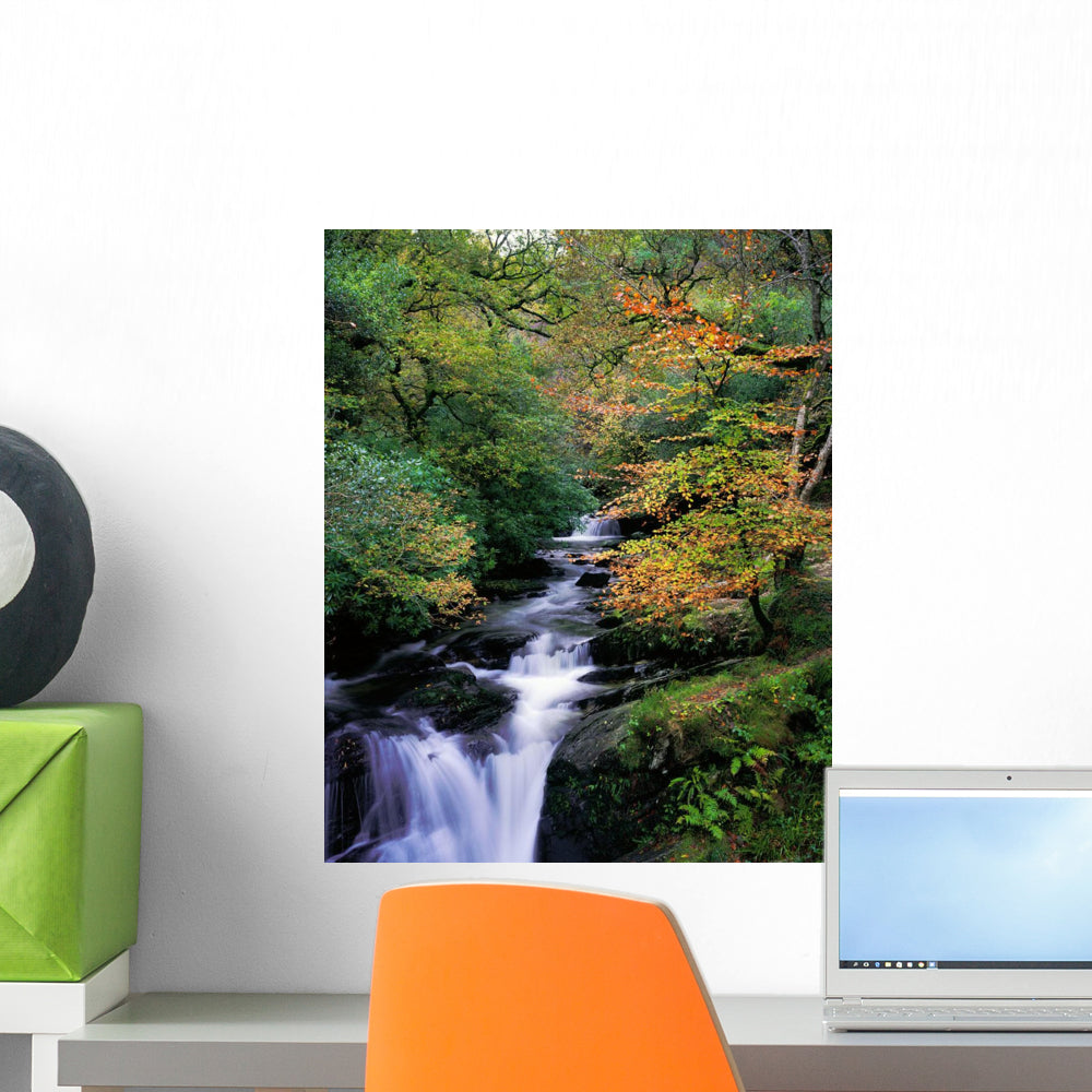 Killarney National Park Ring Wall Mural – Wallmonkeys