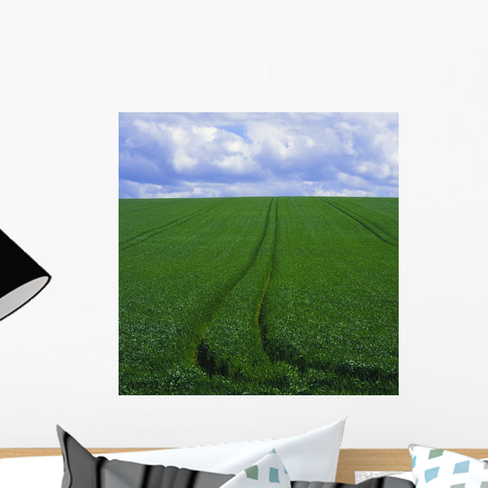 Grass Field Wall Mural – Wallmonkeys