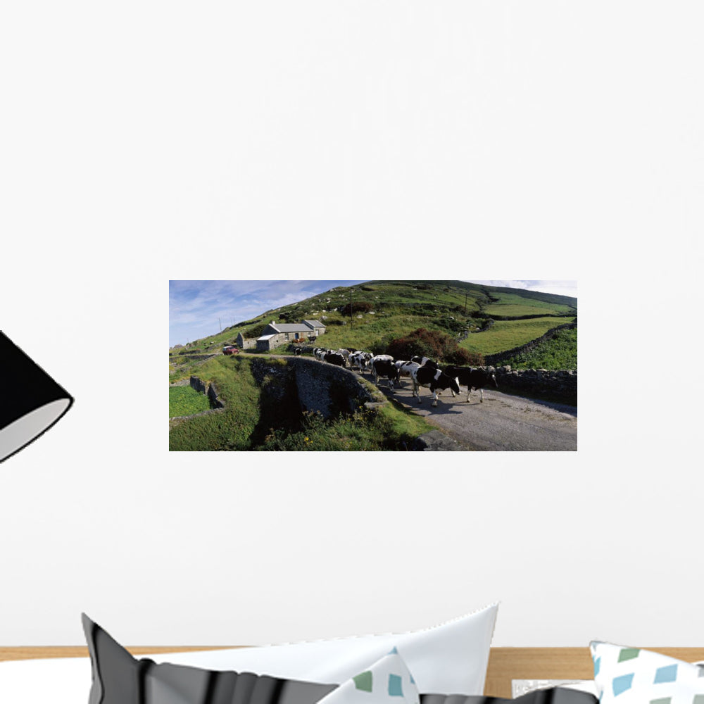 Slea Head Dingle Peninsula Wall Mural – Wallmonkeys