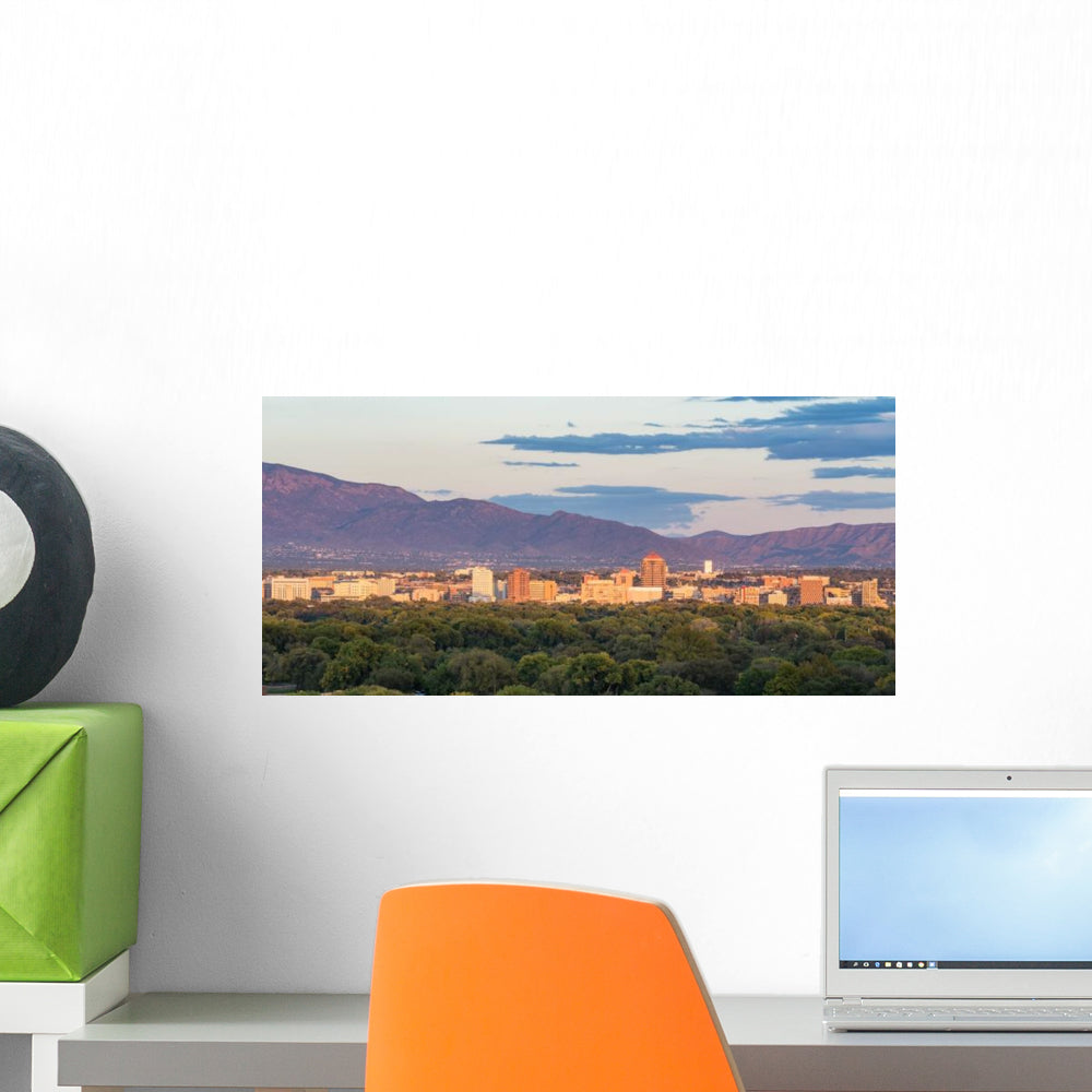 Albuquerque New Mexico Skyline Wall Decal - WallMonkeys.com – Wallmonkeys