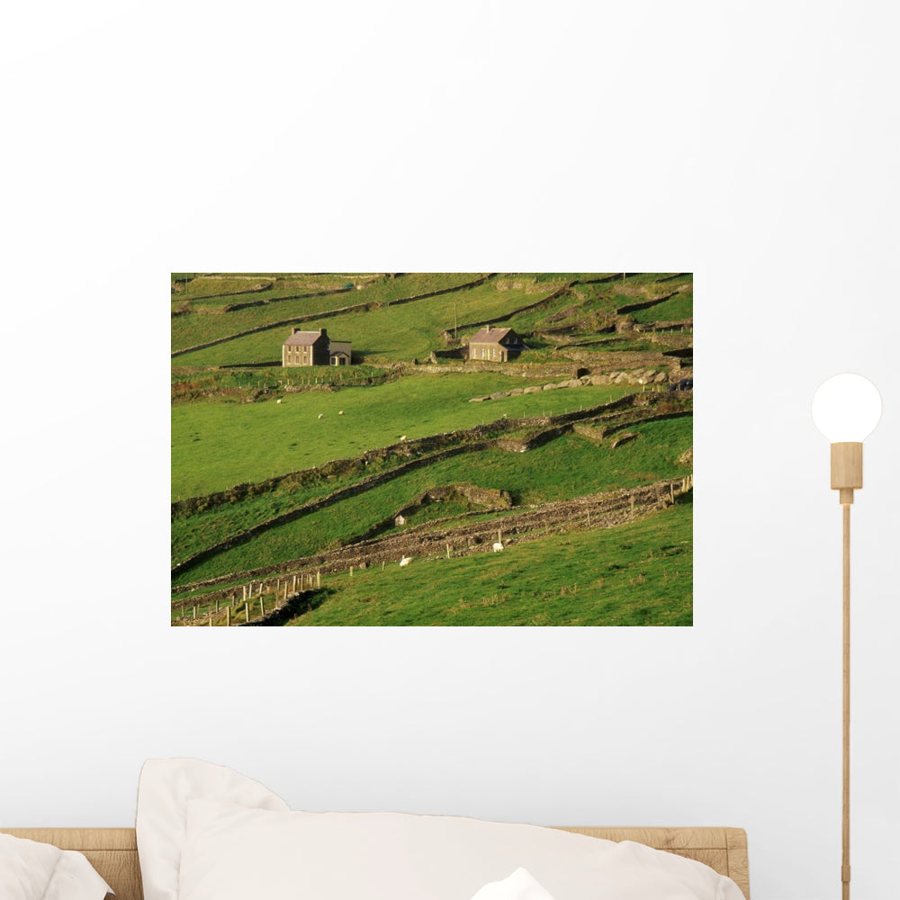 Slea Head Dingle Peninsula Wall Mural – Wallmonkeys