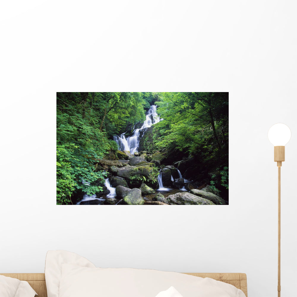 Torc Waterfall Killarney National Wall Mural – Wallmonkeys
