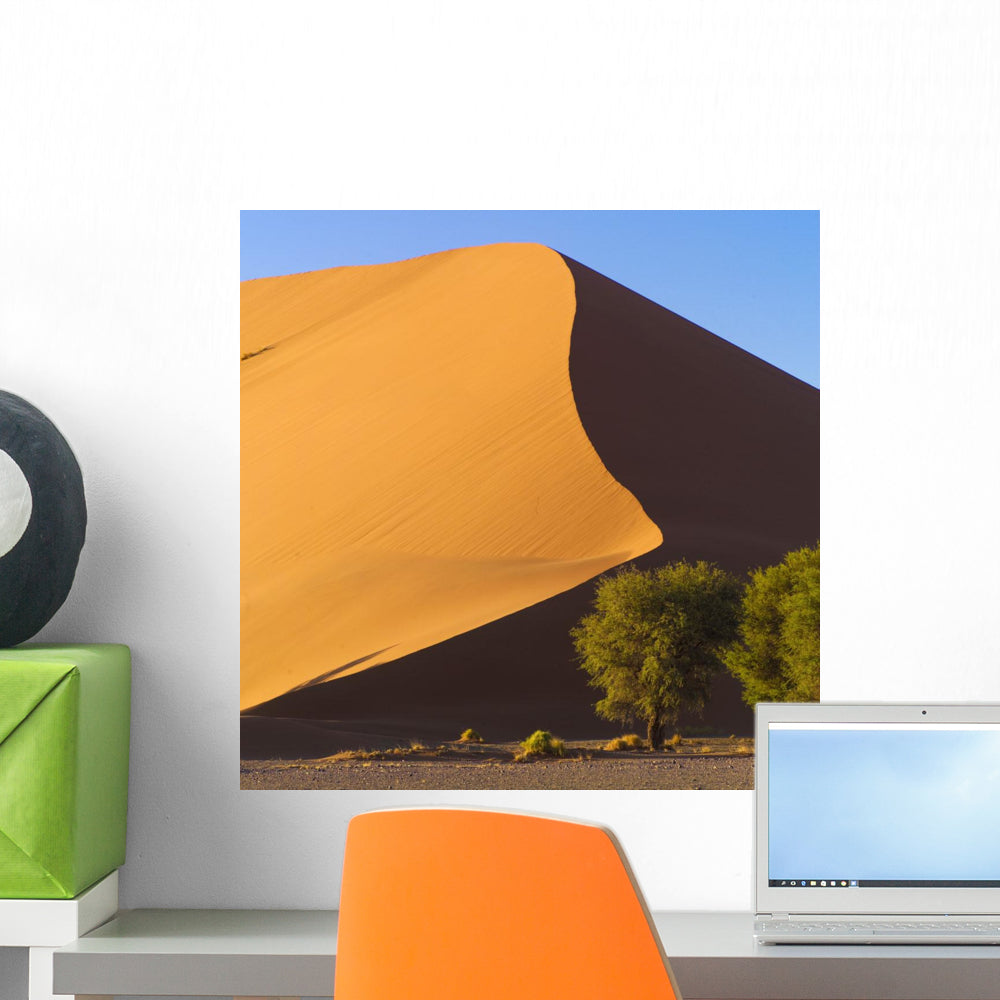 Sand Dune Namibia Africa Wall Mural – Wallmonkeys