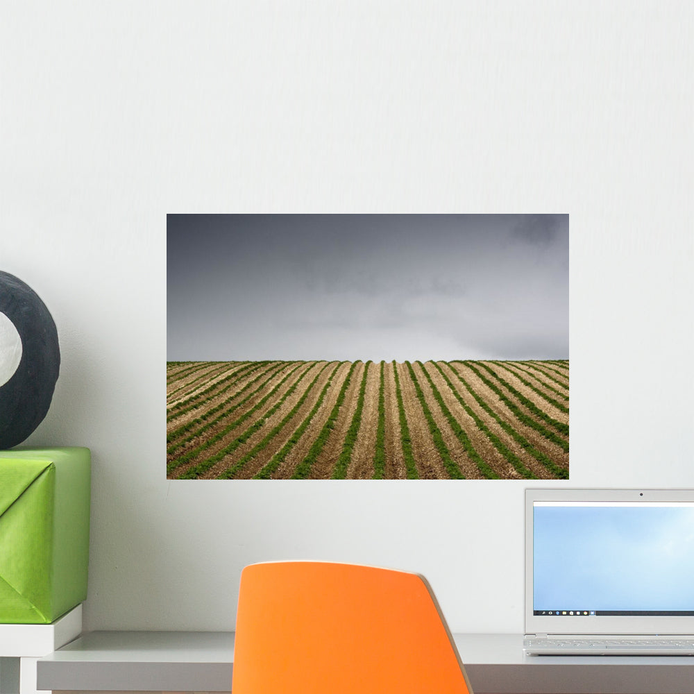 Potato Field Wall Mural – Wallmonkeys