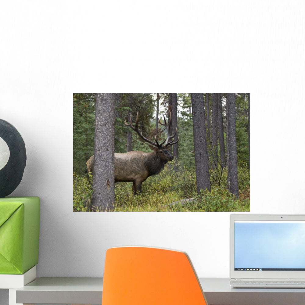 Jasper National Park Jasper Wall Mural – Wallmonkeys