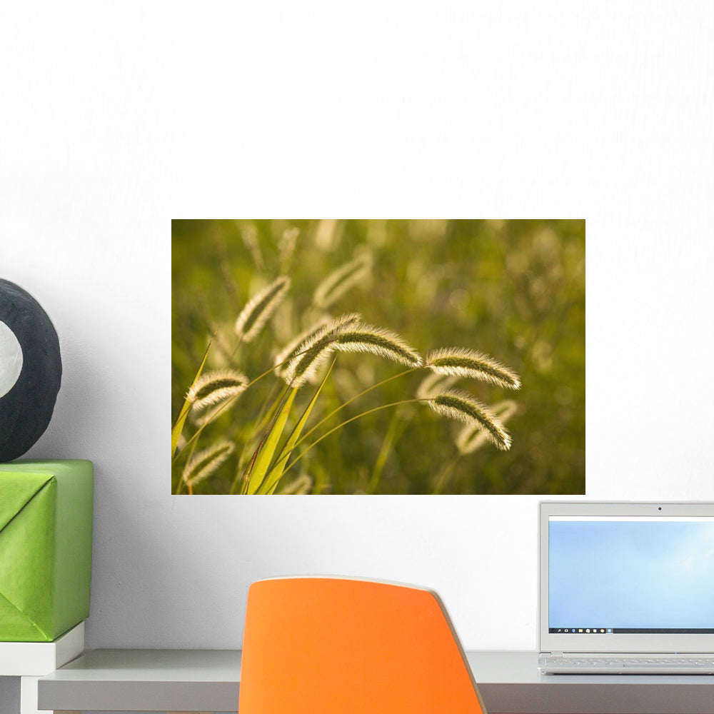 Wild Grass Wall Mural – Wallmonkeys