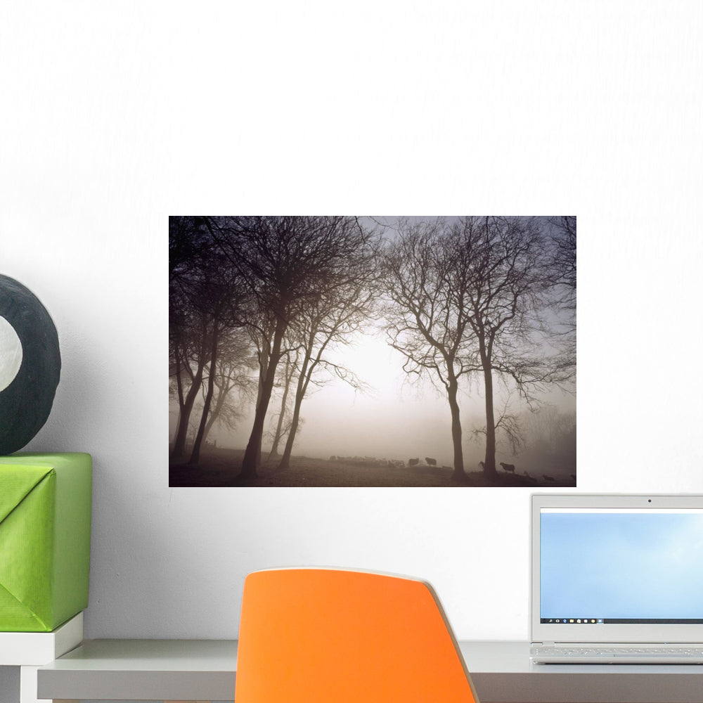 Morning Mist Wall Mural – Wallmonkeys