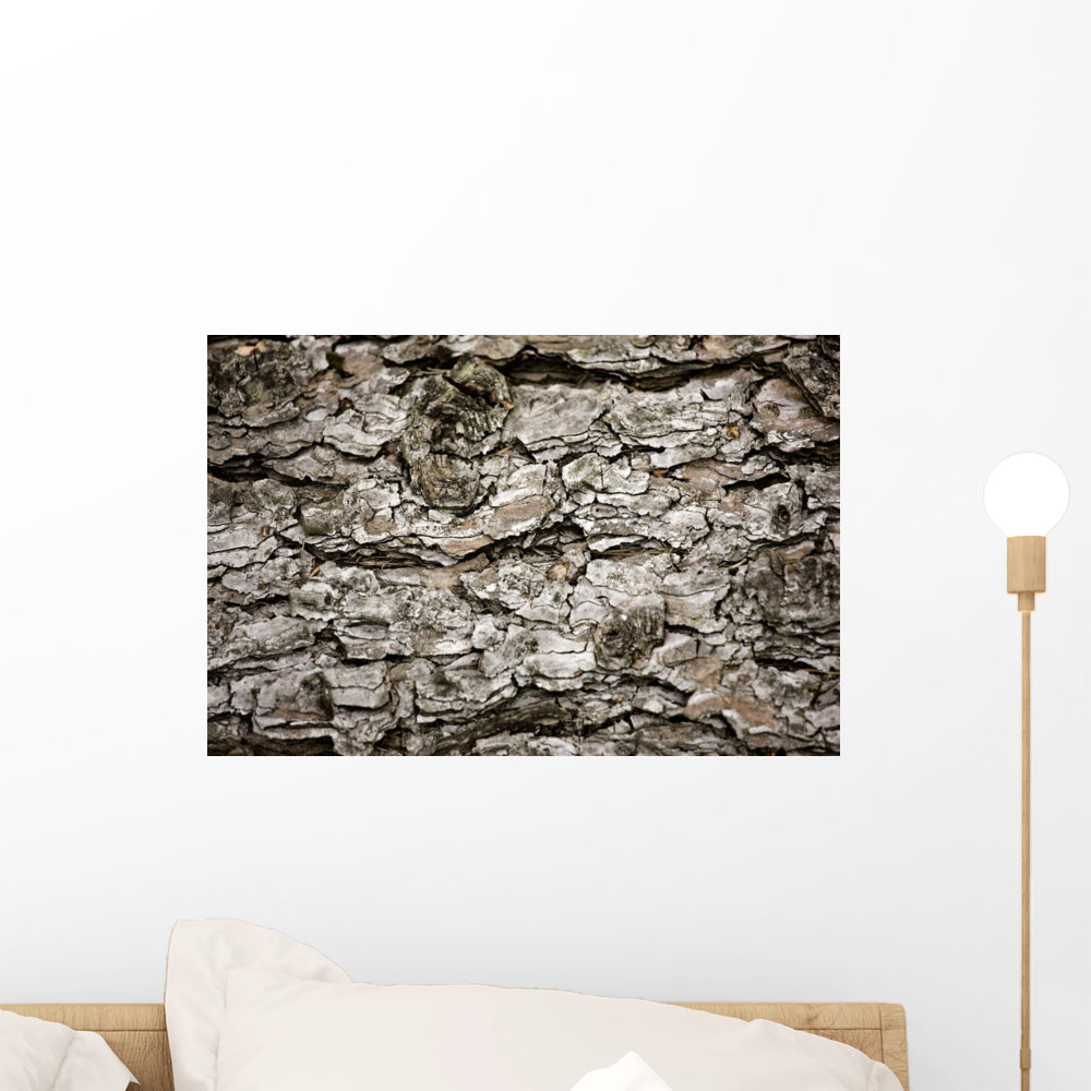 Bark Tree Wall Mural – Wallmonkeys