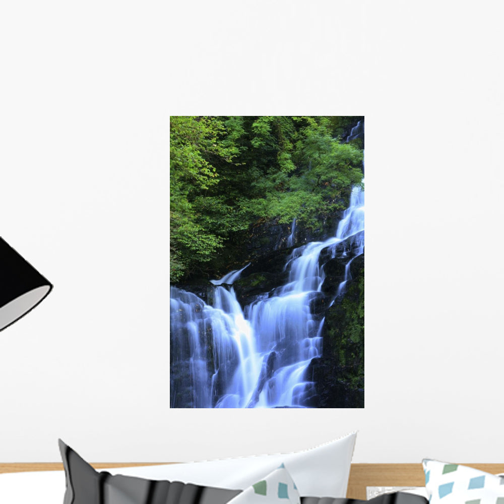 Torc Waterfall Killarney National Wall Mural – Wallmonkeys