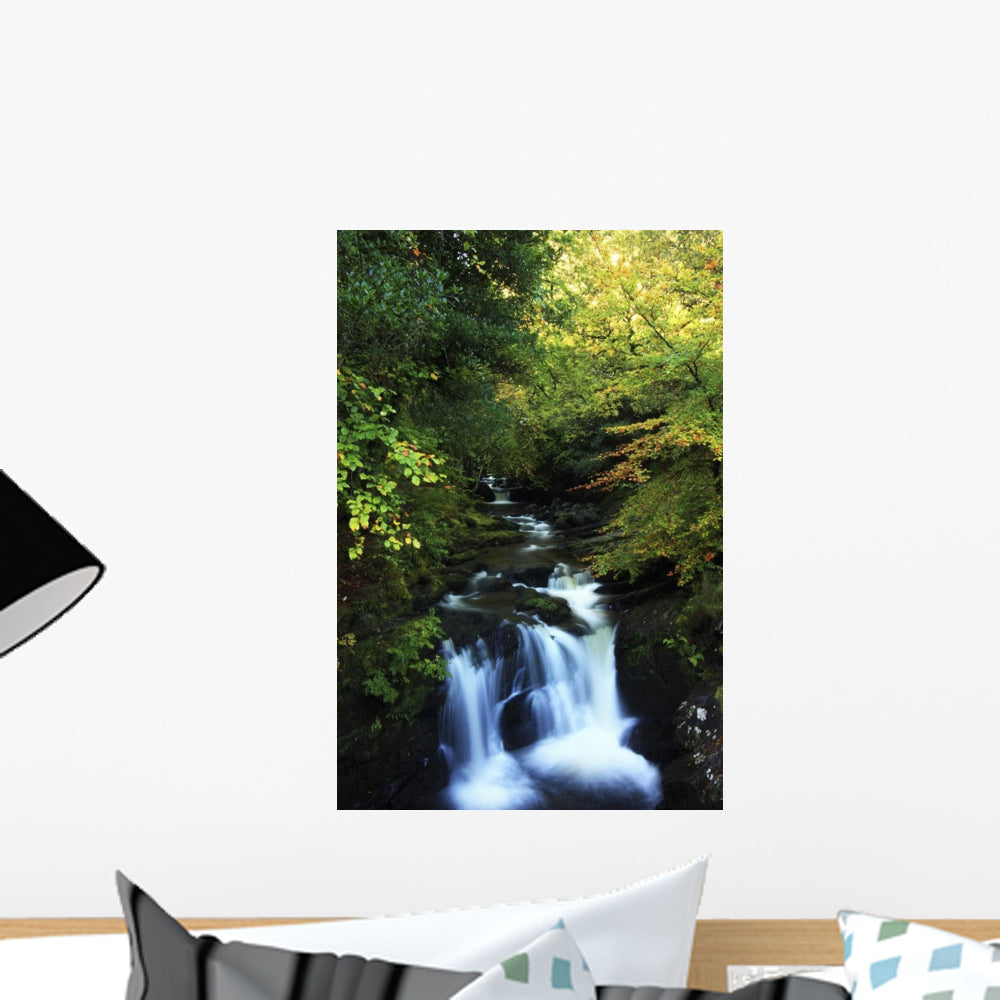 Torc Waterfall Killarney National Wall Mural – Wallmonkeys