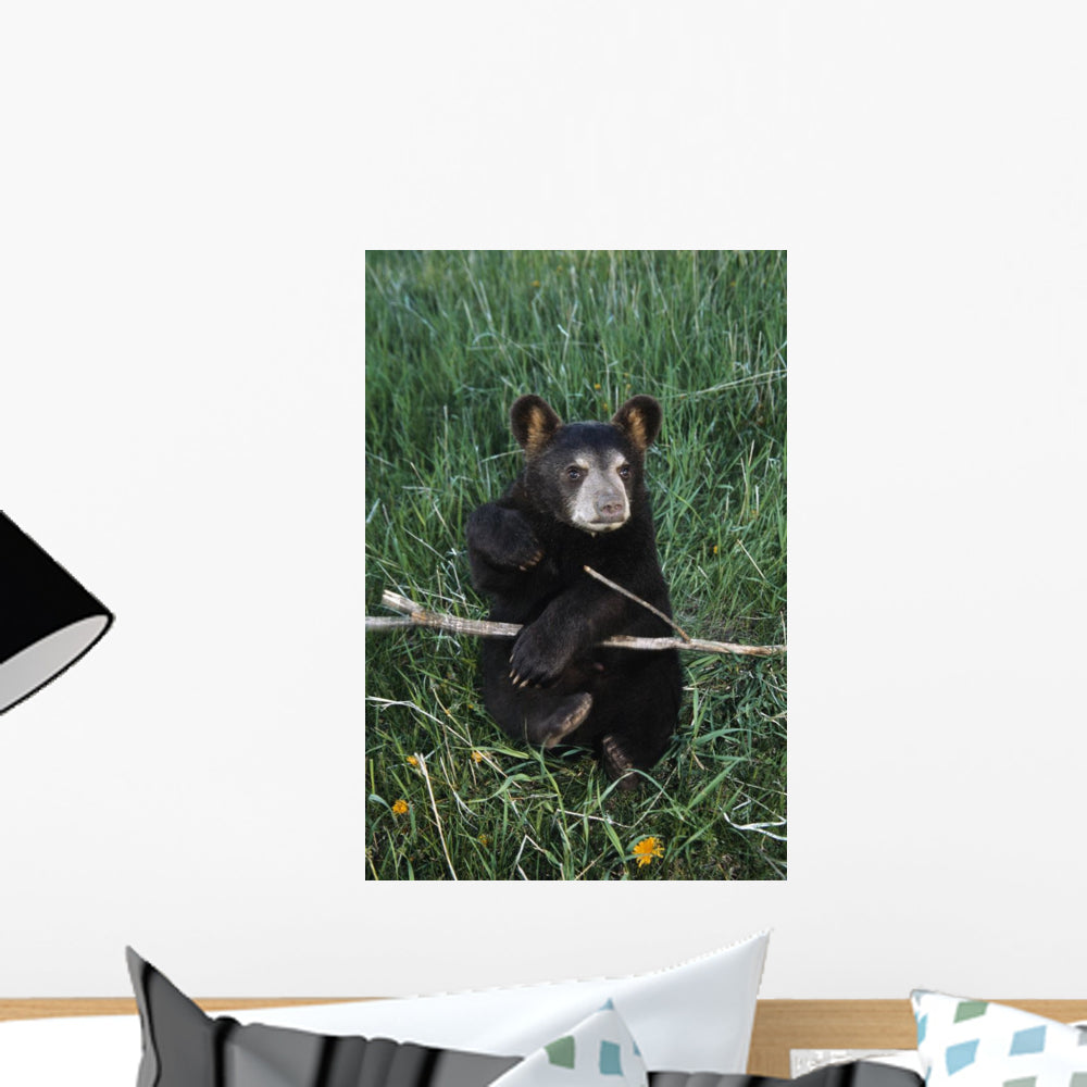 Bear Cub Wall Mural – Wallmonkeys