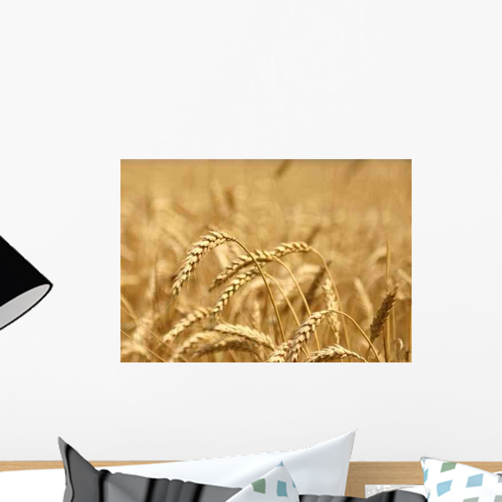 Wheat Wall Decal - WallMonkeys.com – Wallmonkeys