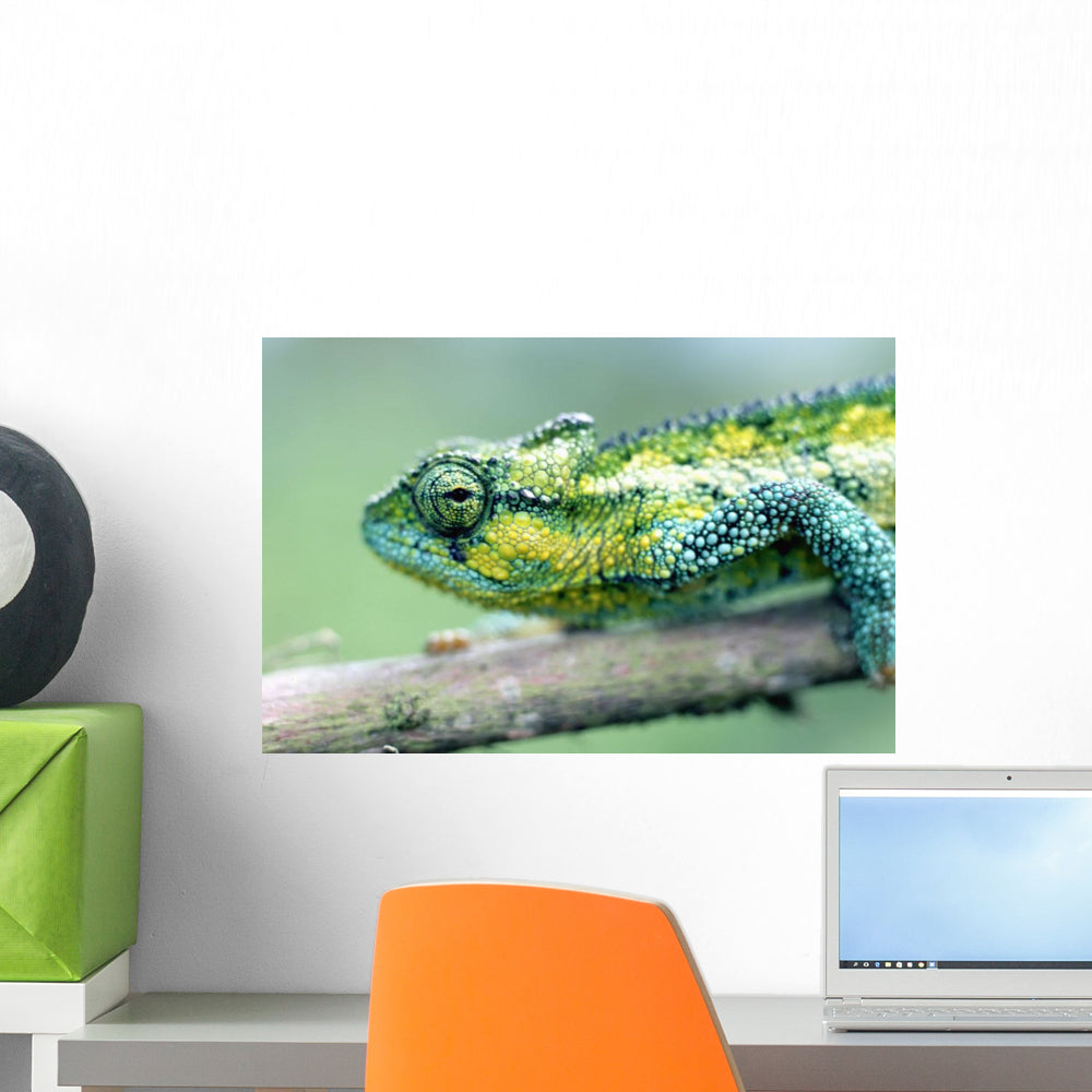 Chameleon Forests Mt Meru Wall Mural – Wallmonkeys