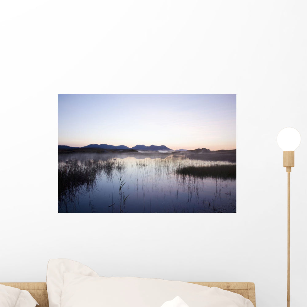Sunrise over Bog Lake Wall Mural – Wallmonkeys