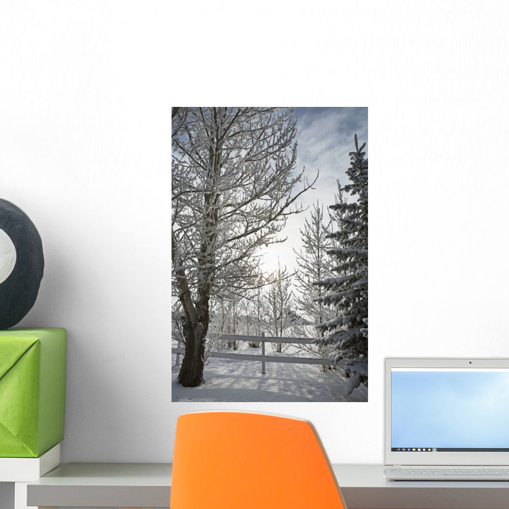 Trees Covered with Snow Wall Mural – Wallmonkeys