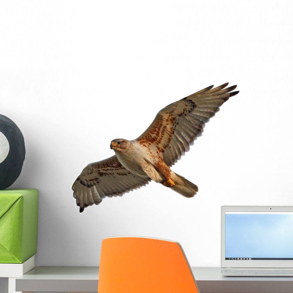 Ferruginous Hawk Wall Decal – Wallmonkeys