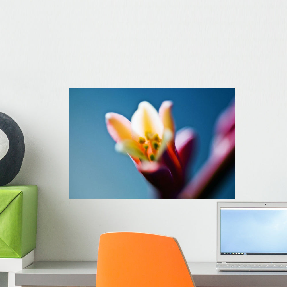 Red Spangles Heuchera Blossom Wall Mural – Wallmonkeys