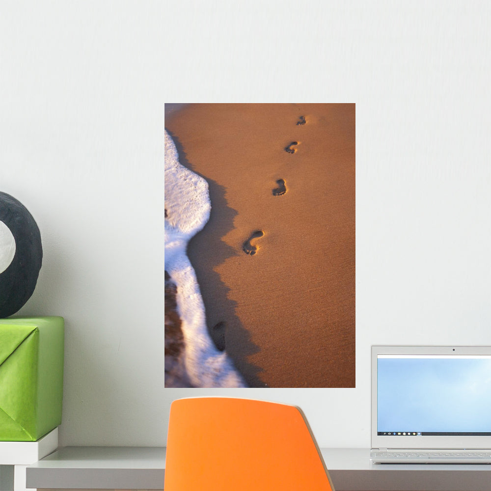 Close-up Footprints Wall Mural – Wallmonkeys