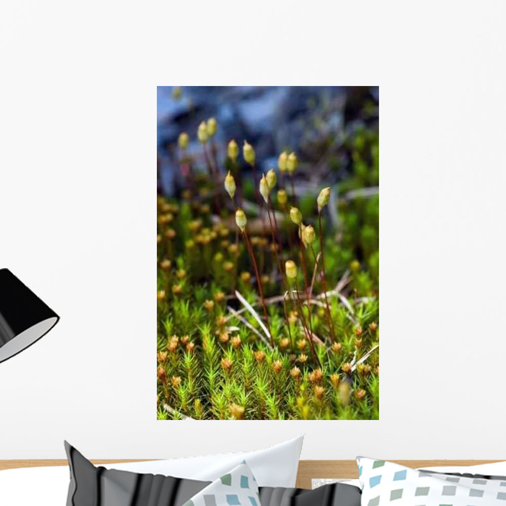 Green Moss Wall Decal - WallMonkeys.com – Wallmonkeys