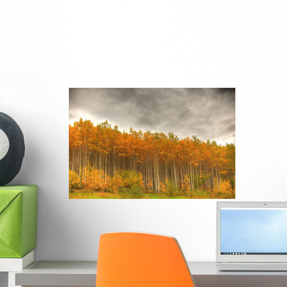 Poplar Forest Autumn Teslin Wall Mural – Wallmonkeys