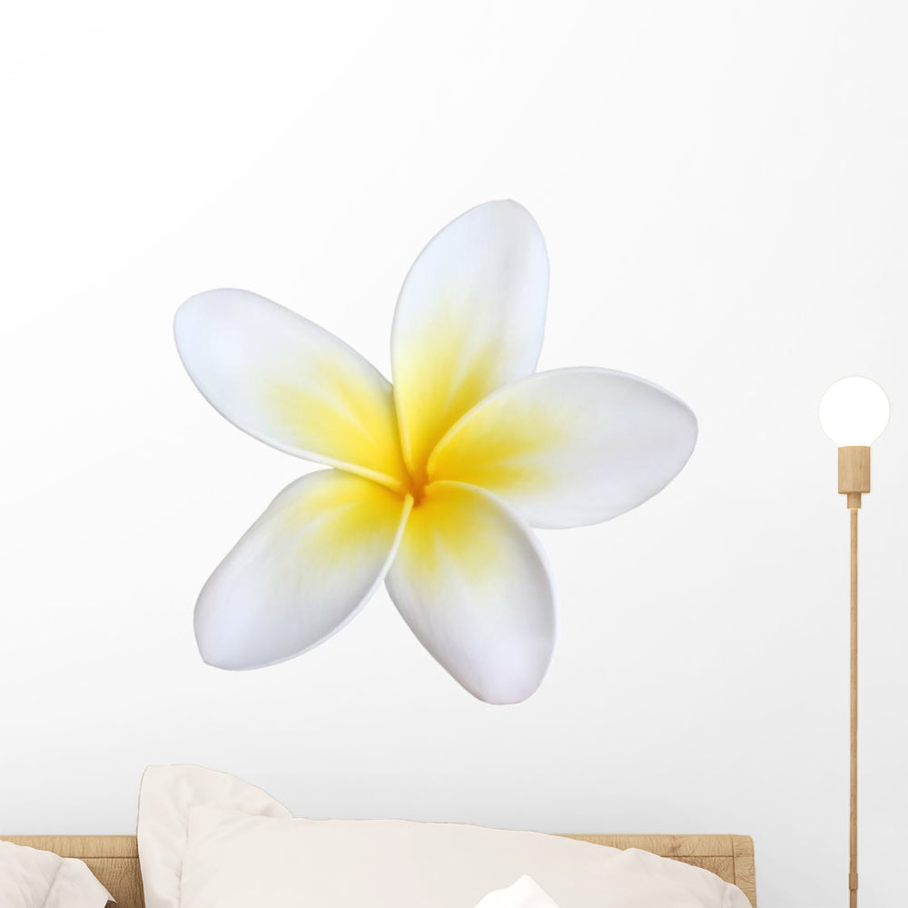Frangipani Wall Decal – Wallmonkeys