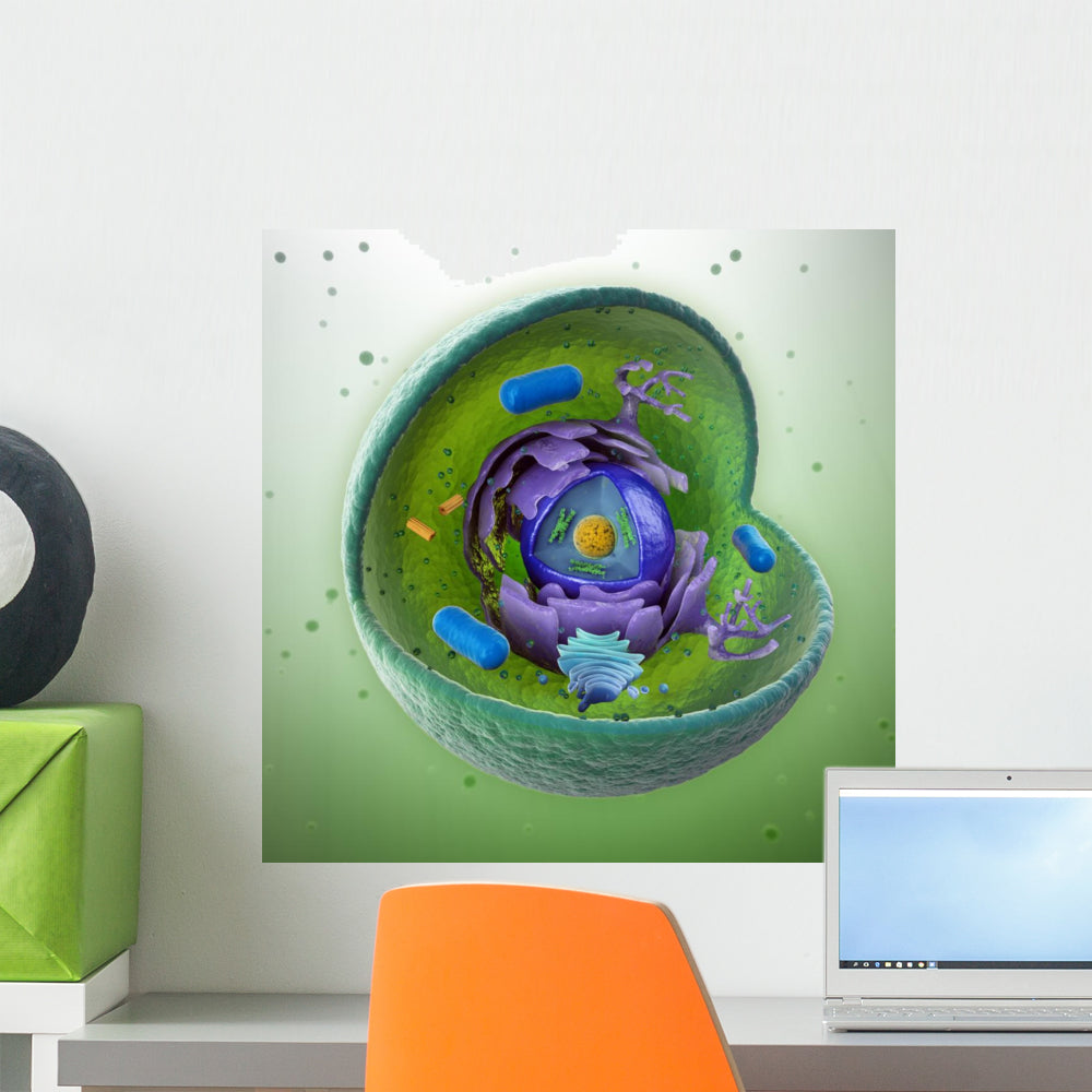 Animal Cell Cut-away Wall Mural – Wallmonkeys
