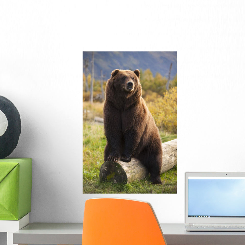 Captive Wall Mural – Wallmonkeys