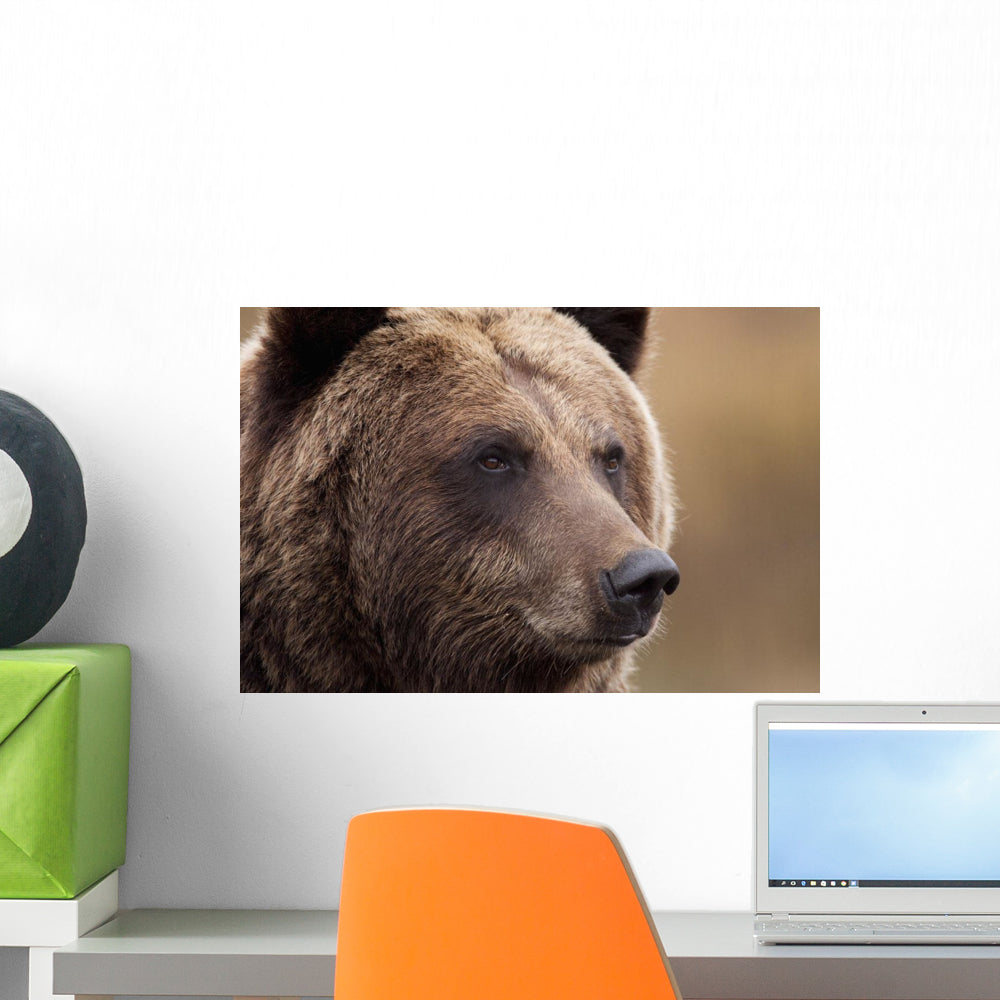 Captive Wall Mural – Wallmonkeys