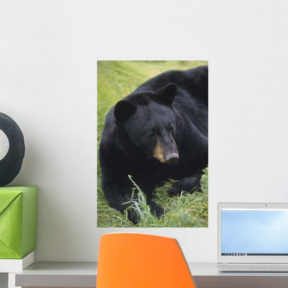Captive Wall Mural – Wallmonkeys